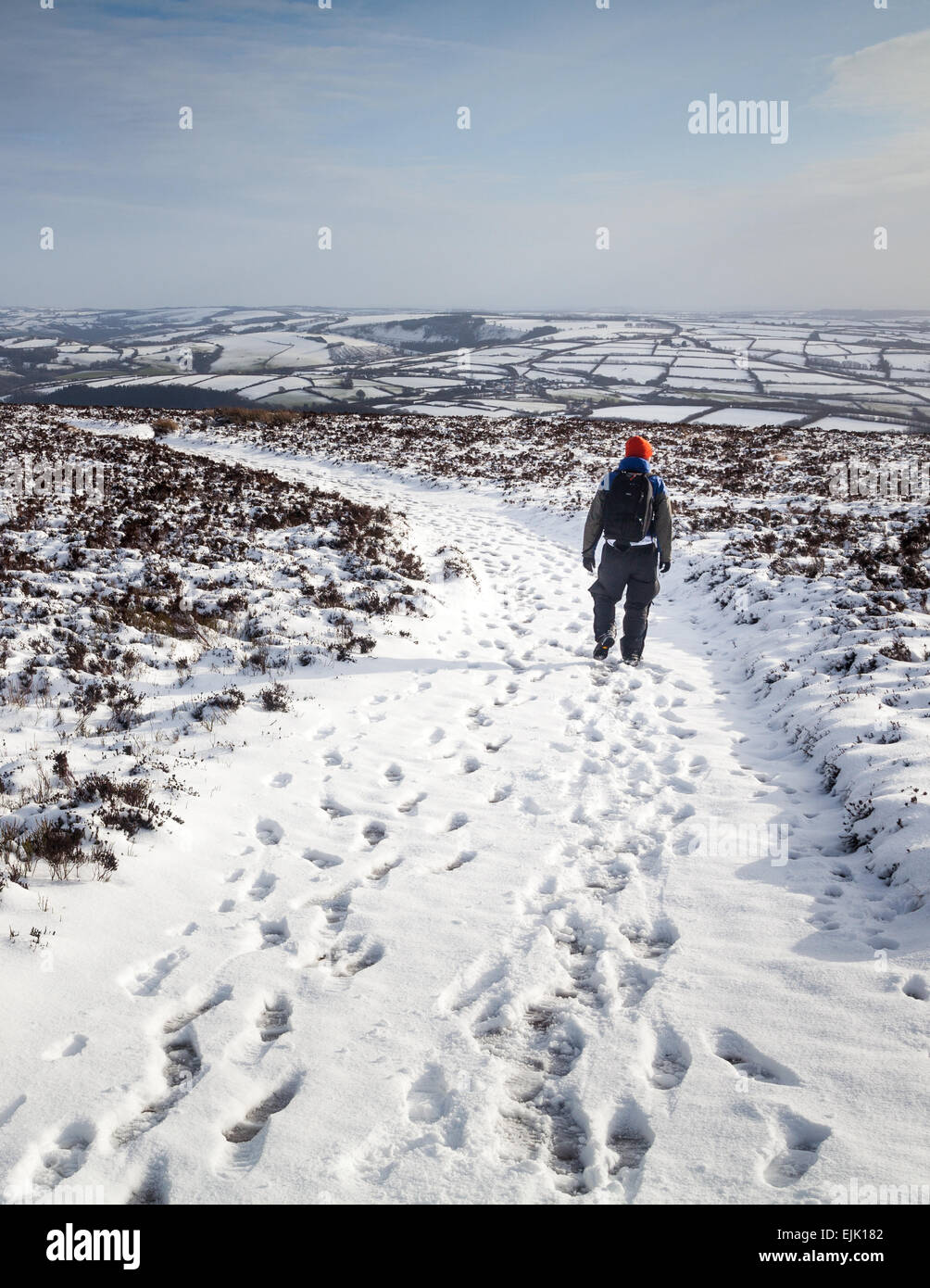 A walker (male) enjoying the winter scenery in Exmoor National Park ...