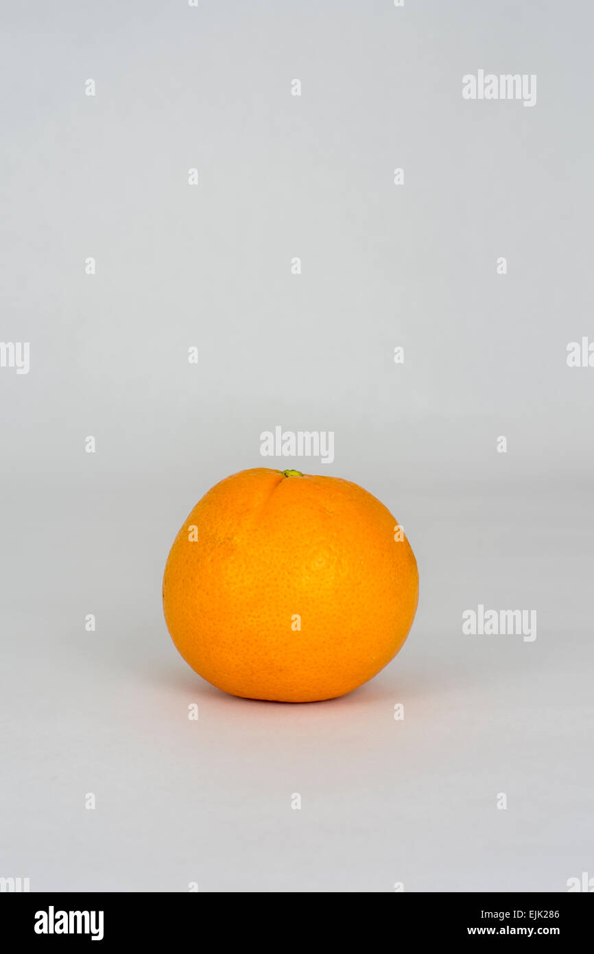 single orange on a white background Stock Photo - Alamy