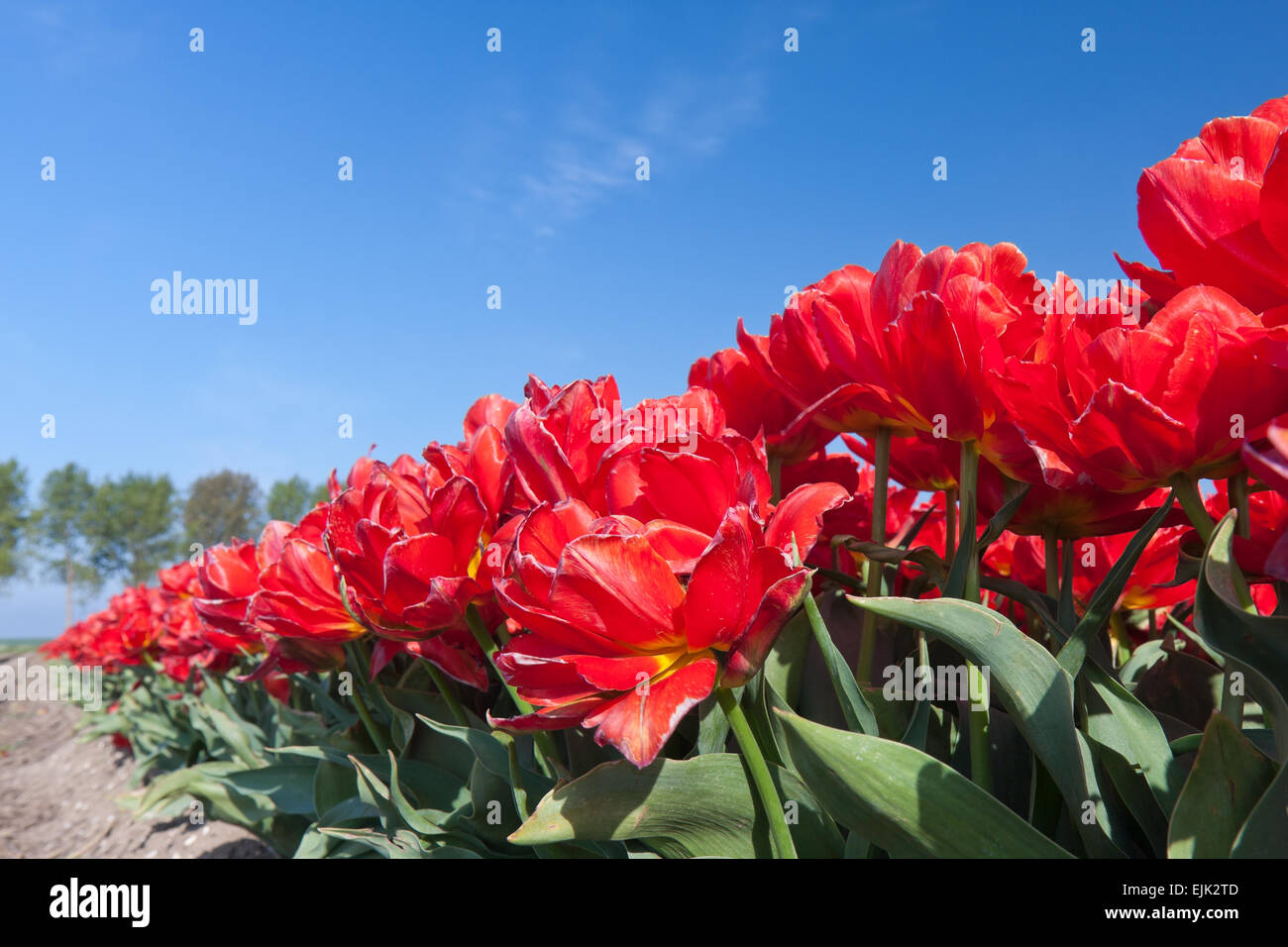 Endless row hi-res stock photography and images - Alamy