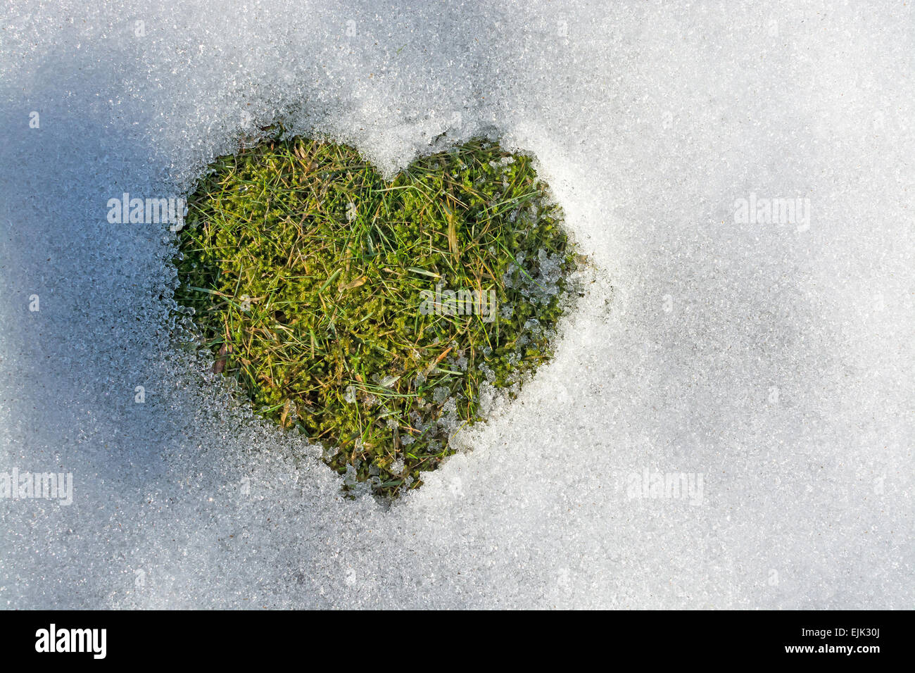 Snow melting in the shape of a heart spring love concept background ...