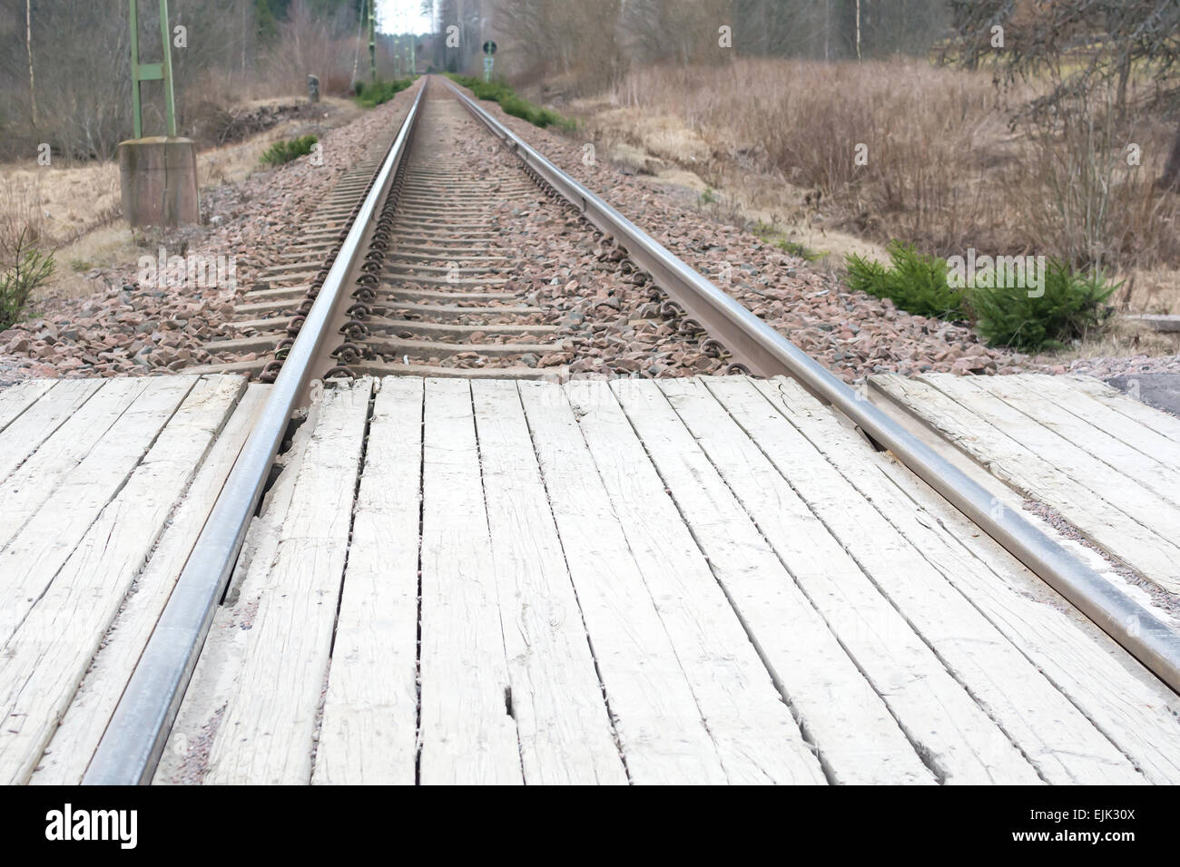 Railroad tracks perspective transit in wood Stock Photo - Alamy