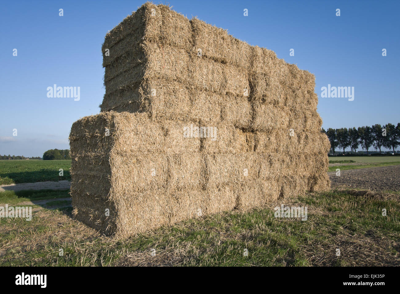 Haystack in the Netherlands Stock Photo - Alamy