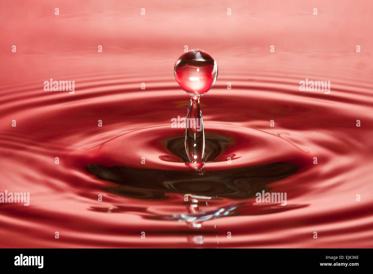 Closeup of falling water-drop in a red liquid Stock Photo - Alamy