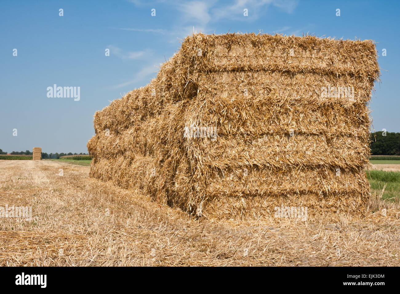Huge haystack at the countryside of the Netherlands Stock Photo - Alamy