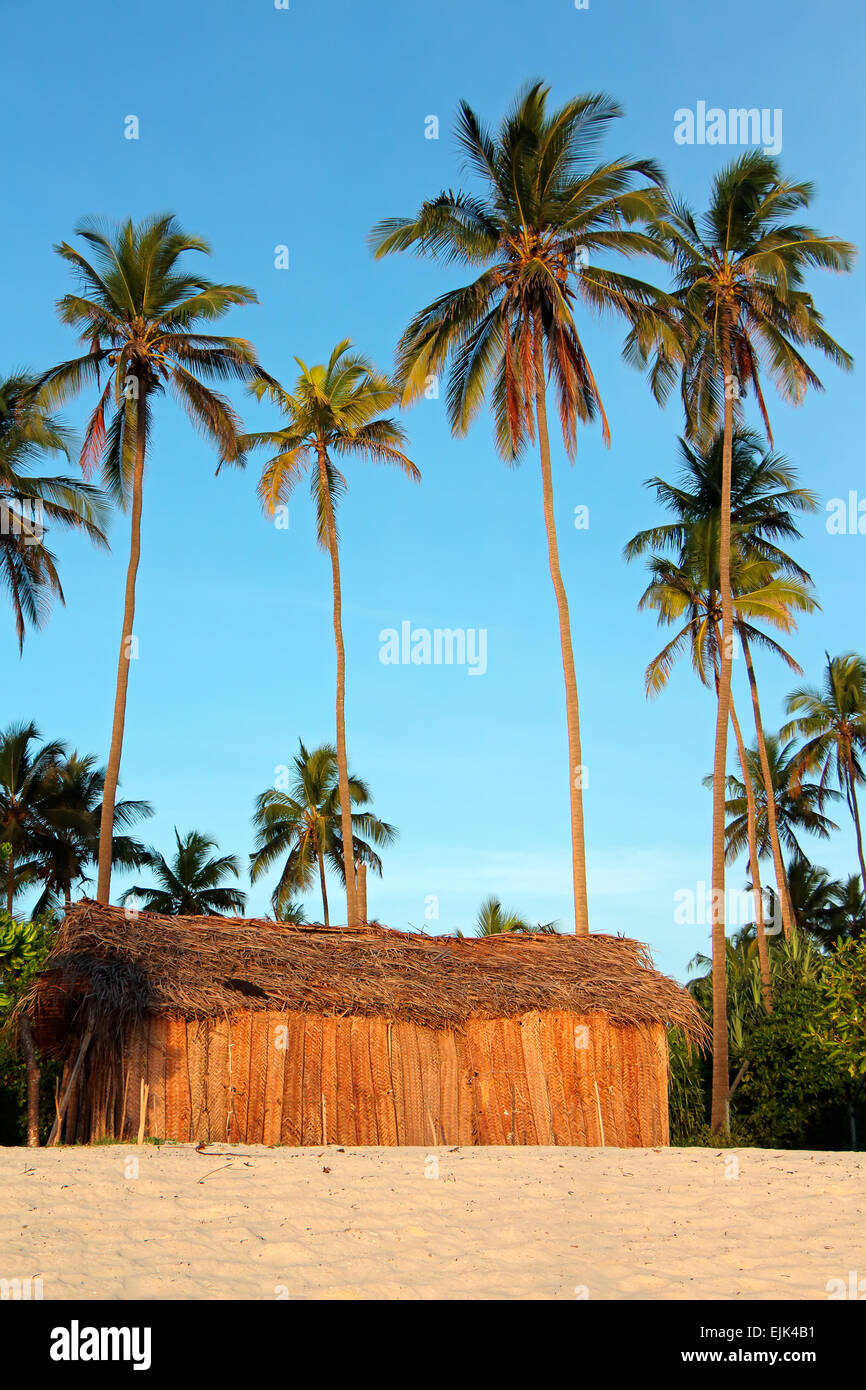 White sand, shack and palm trees on a tropical beach of Zanzibar island ...