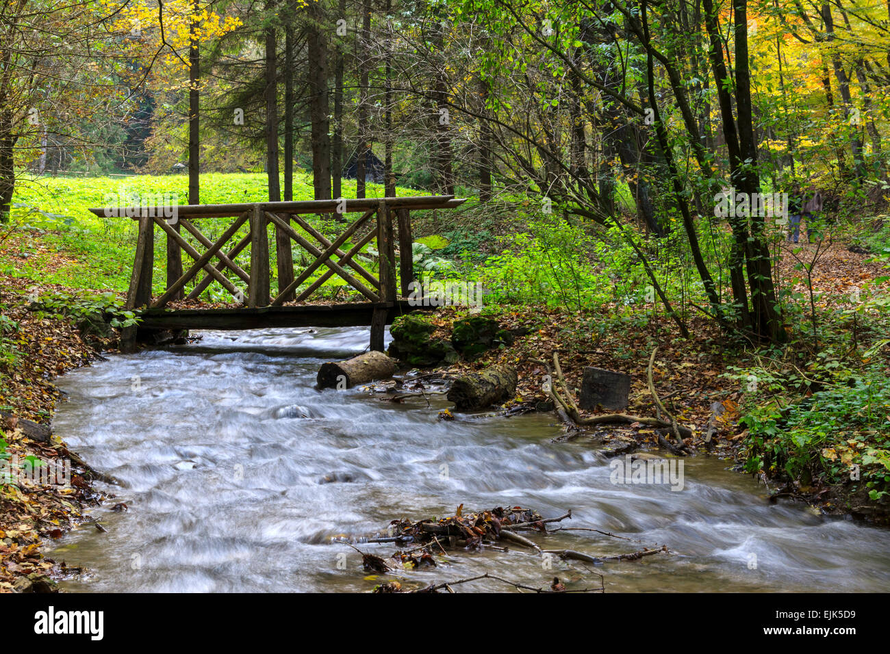 Mountain river in forest, autumn landscape in Hungary Stock Photo - Alamy