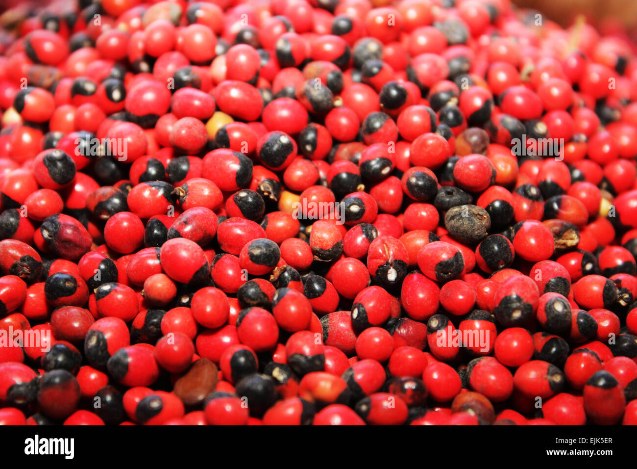 red spice background Stock Photo - Alamy