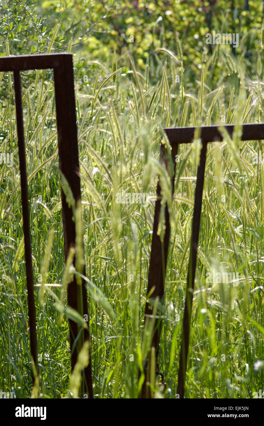 grass field with fence Stock Photo - Alamy