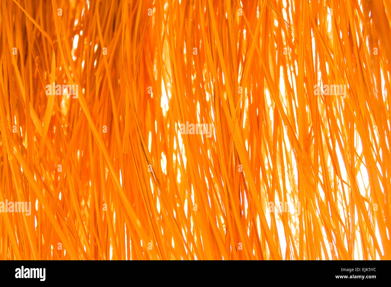 Yellow dry grass background. Dry grass texture Stock Photo - Alamy