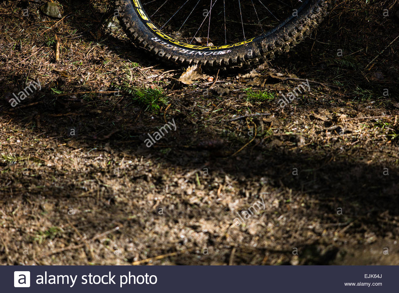 Innerleithen Biking High Resolution Stock Photography and Images - Alamy