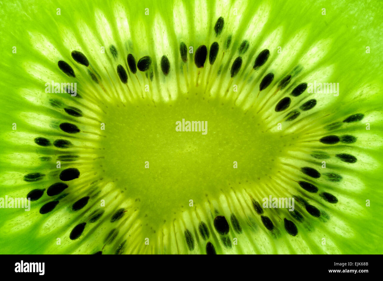 Kiwi fruit slice backlit closeup Stock Photo - Alamy