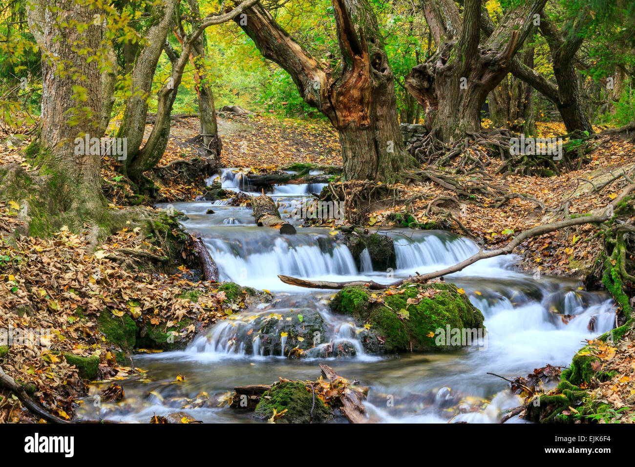 Mountain river in forest, autumn landscape in Hungary Stock Photo - Alamy