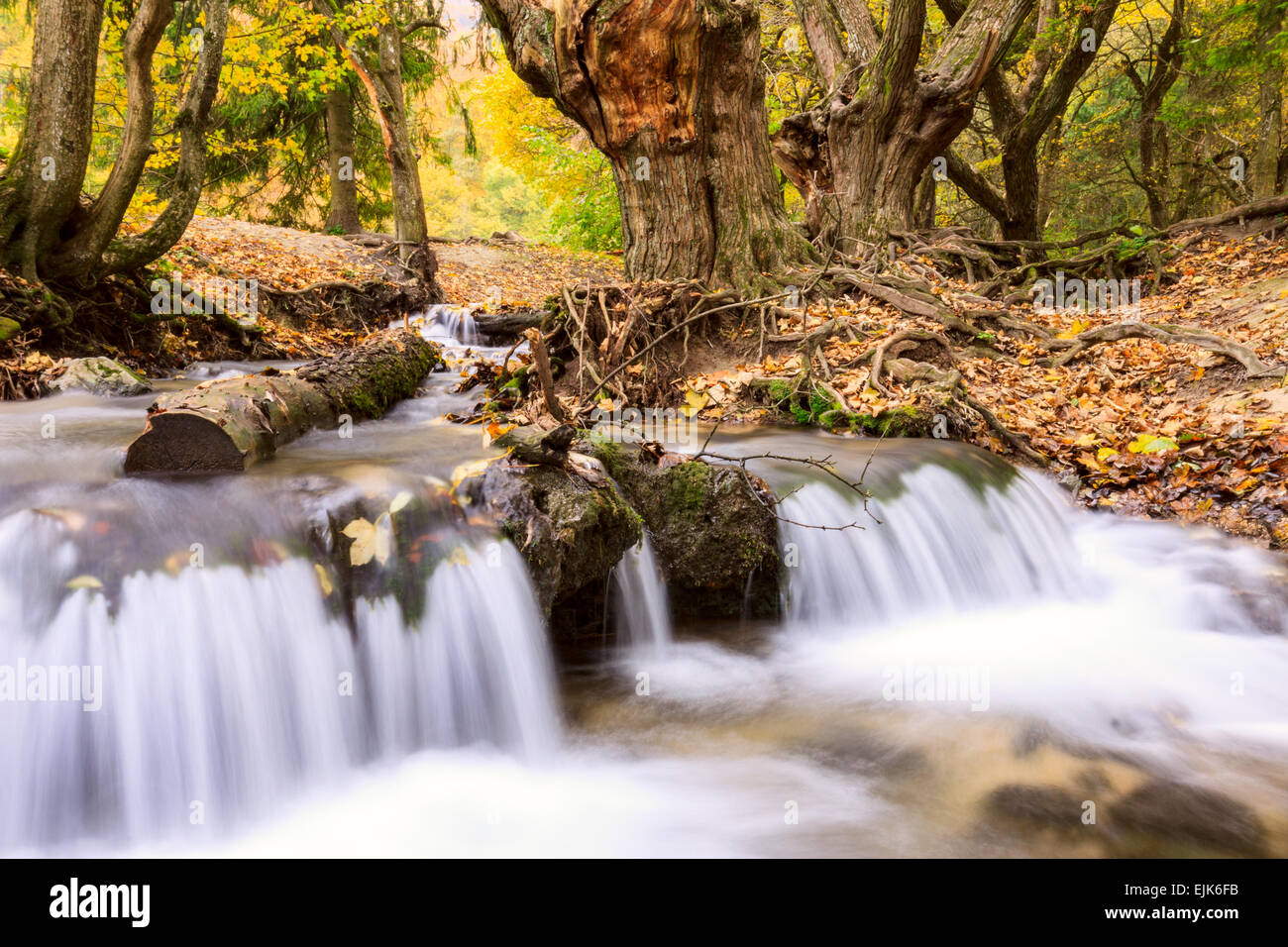 Mountain river in forest, autumn landscape in Hungary Stock Photo - Alamy