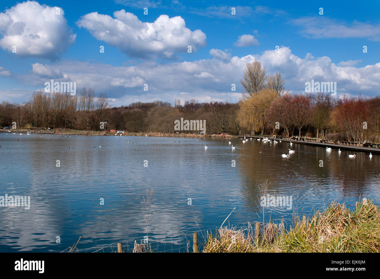 Moses Gate Country Park, Bolton, Lancashire. UK Stock Photo - Alamy