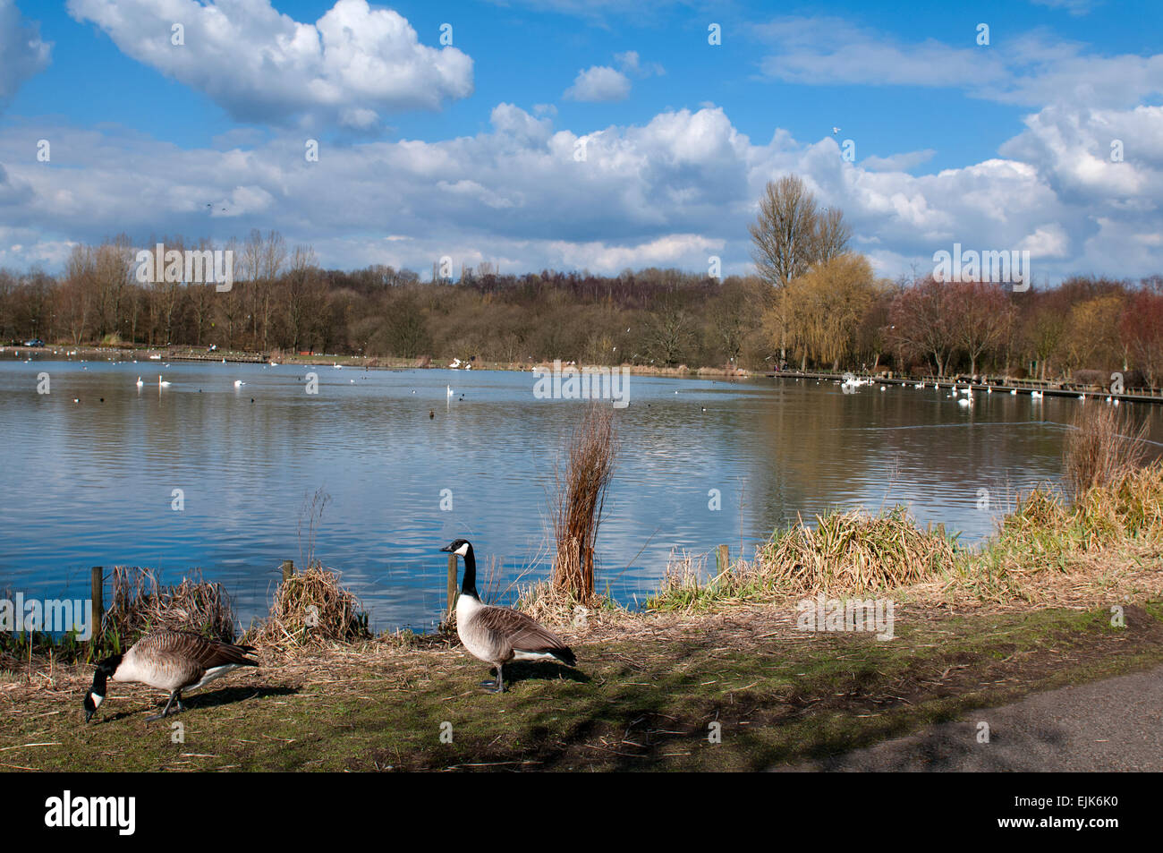Moses Gate Country Park, Bolton, Lancashire. UK Stock Photo - Alamy