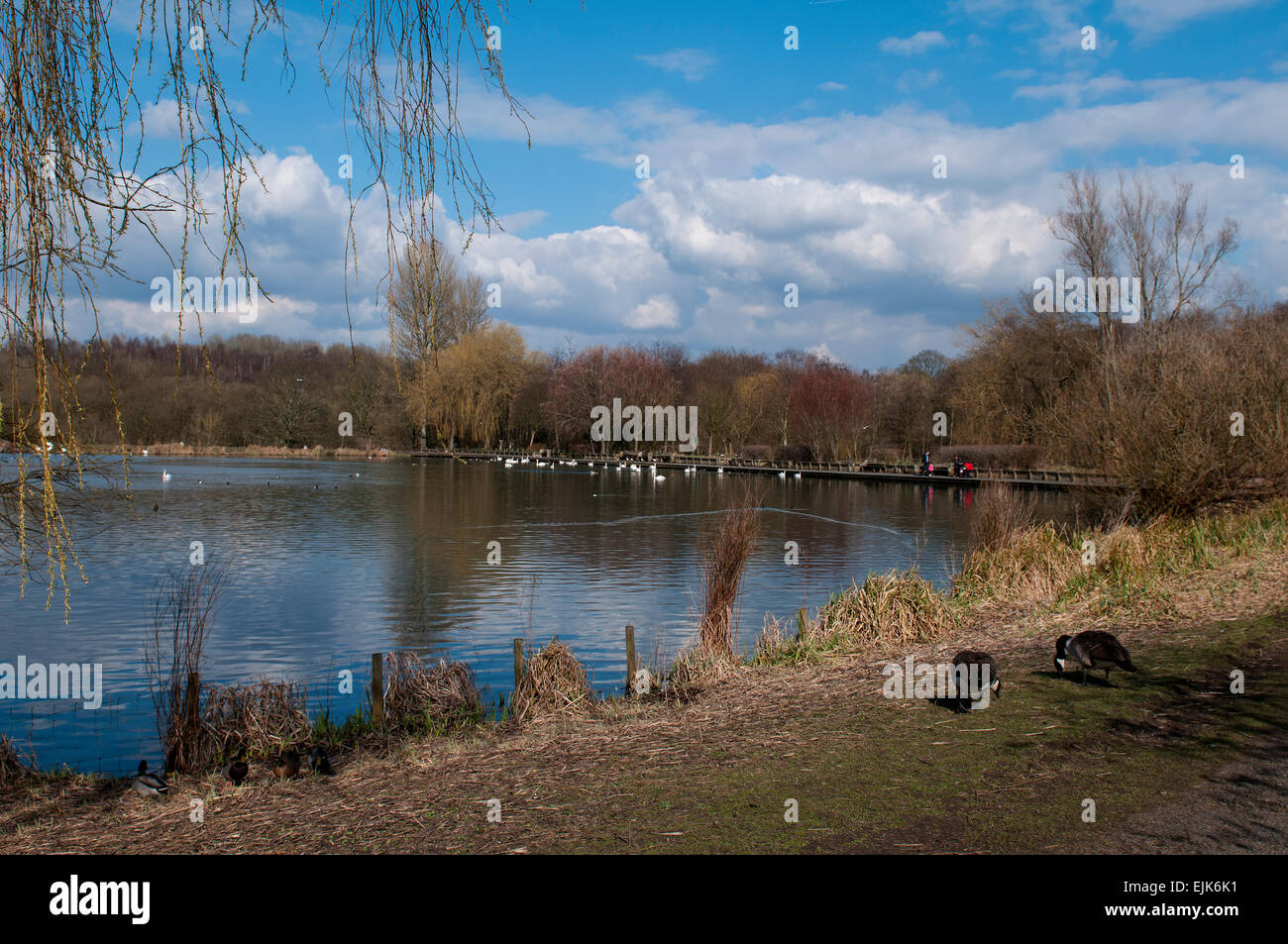 Moses Gate Country Park, Bolton, Lancashire. UK Stock Photo - Alamy