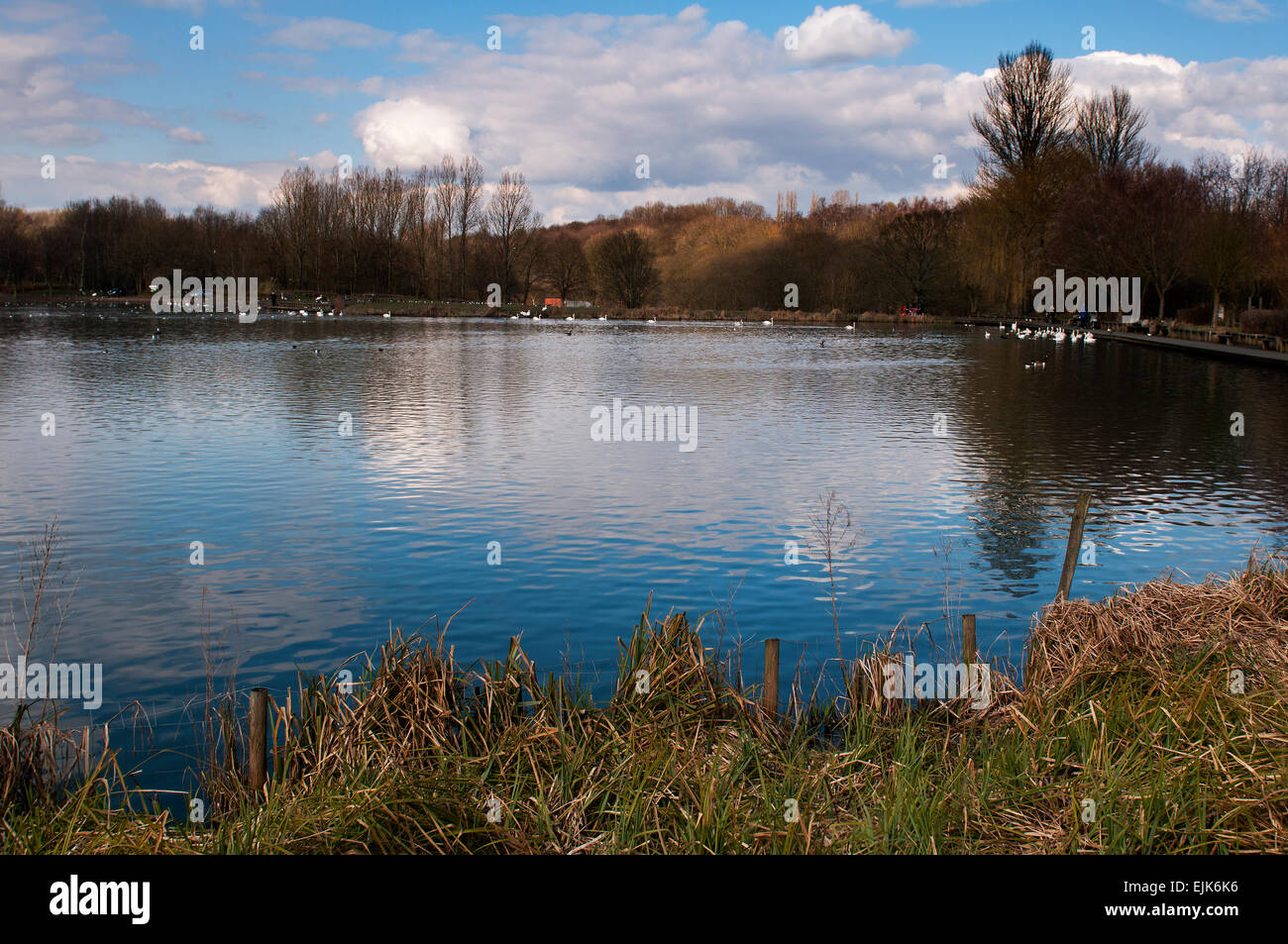 Moses Gate Country Park, Bolton, Lancashire. UK Stock Photo - Alamy