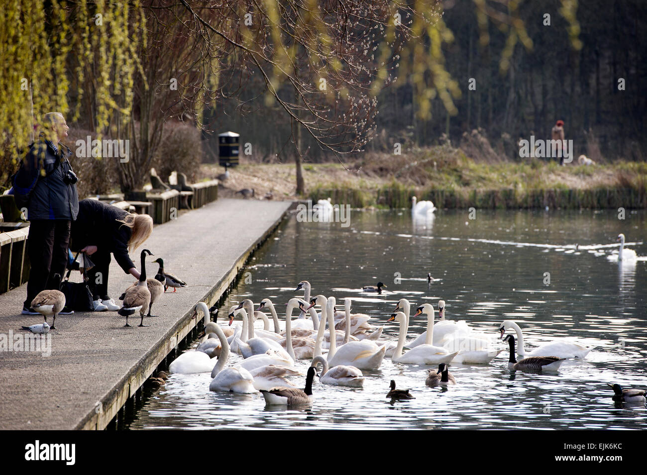 Moses Gate Country Park, Bolton, Lancashire. UK Stock Photo - Alamy