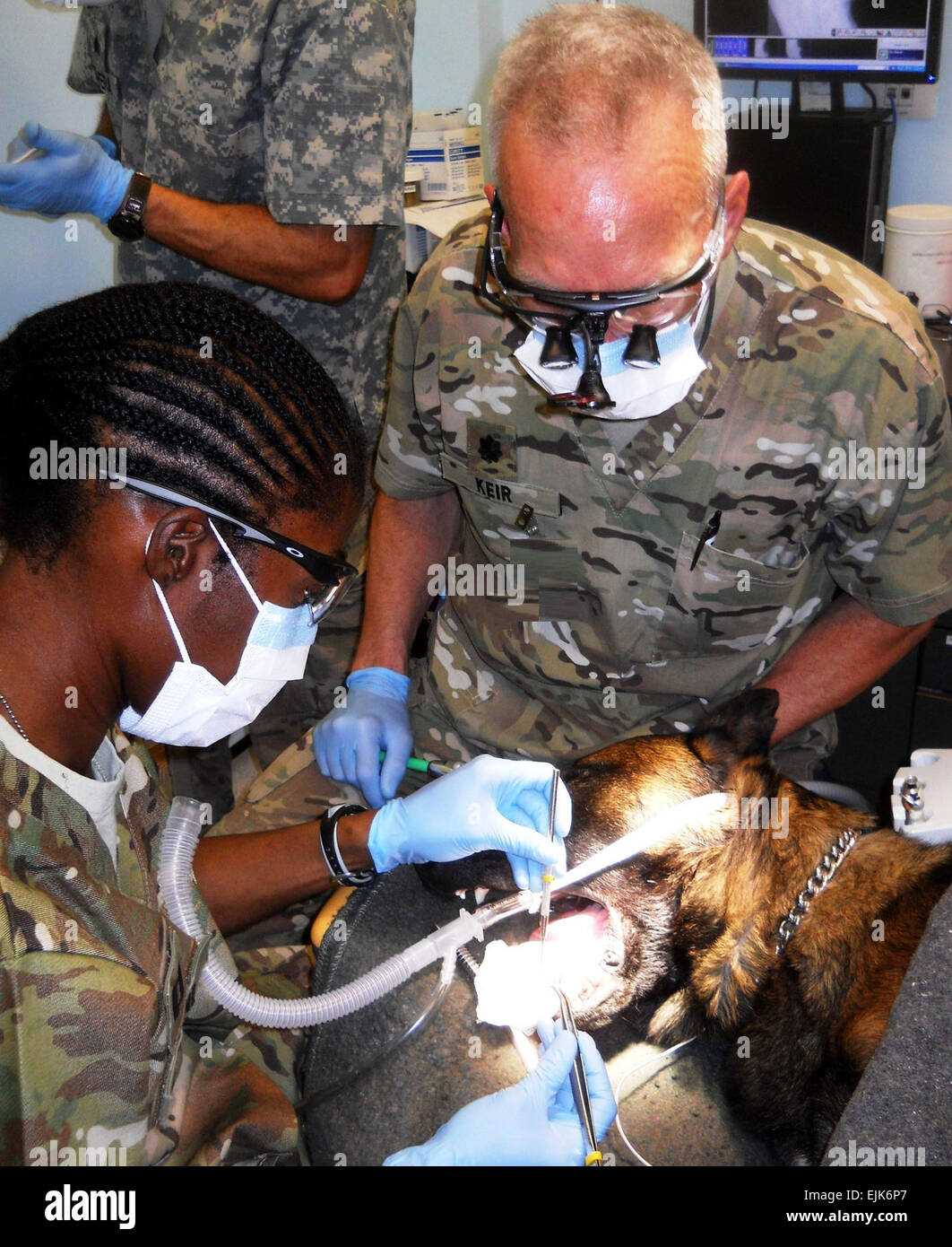 Lt. Col. Steven Keir and Capt. Callief Shand both Army Reserve dentists ...