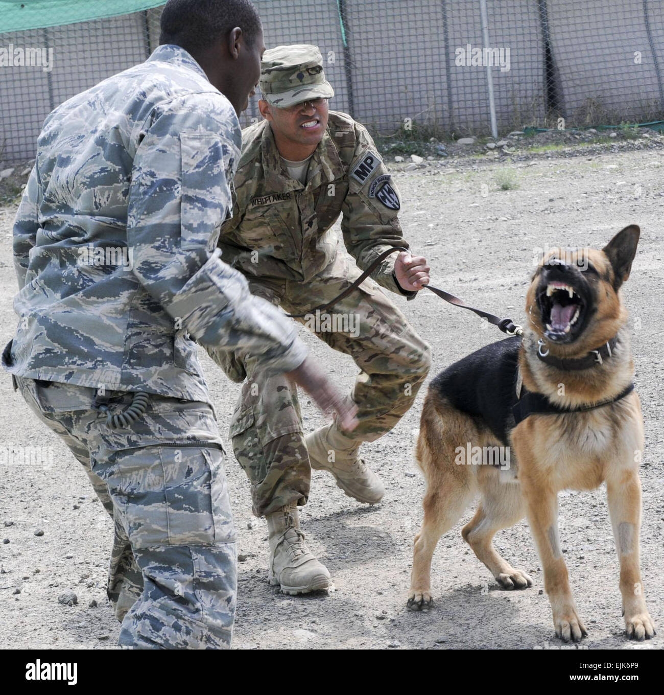 529th military police company hi-res stock photography and images - Alamy