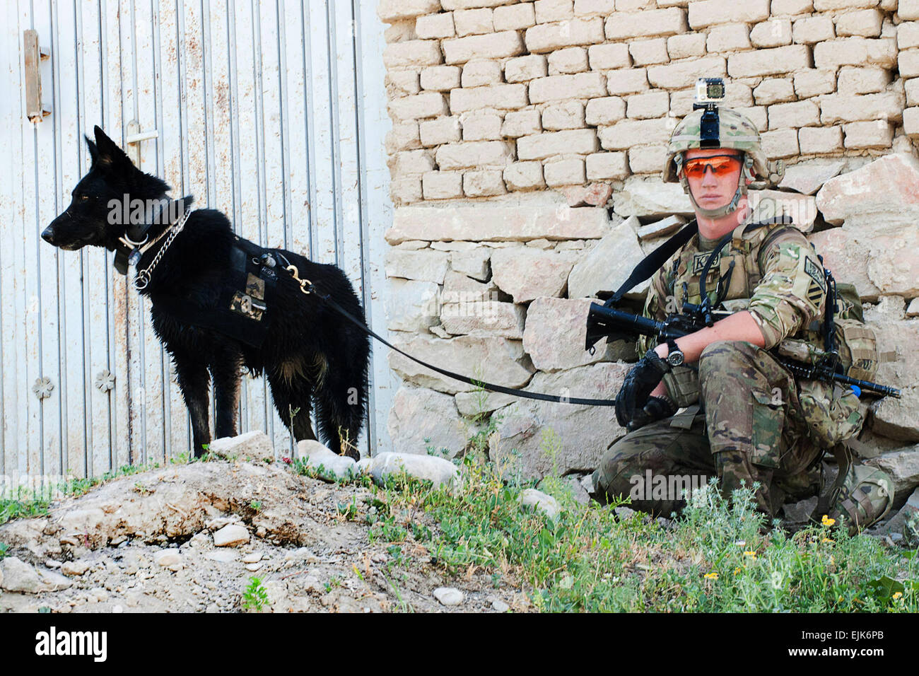 Spc. Chase Couturiax, a tactical explosives detection dog handler with ...