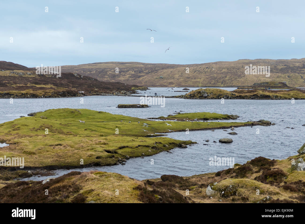 Denmark, Faroe islands, Eysturoy, Runavik, Tofta lake Stock Photo - Alamy