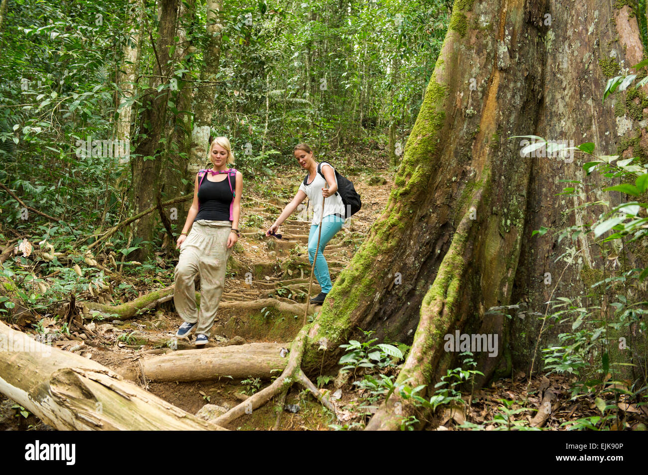Hikers in Brownsberg Nature Reserve, Suriname Stock Photo - Alamy