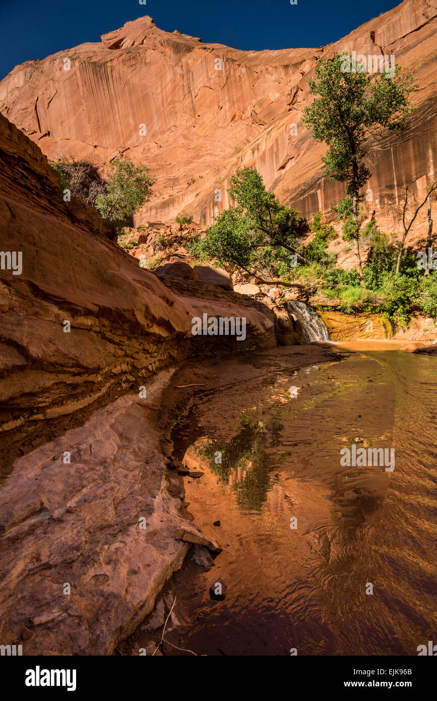 Coyote Gulch - Utah Stock Photo - Alamy