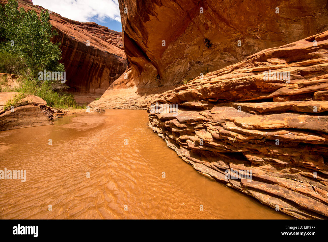 Lower Coyote Gulch - Utah Stock Photo - Alamy