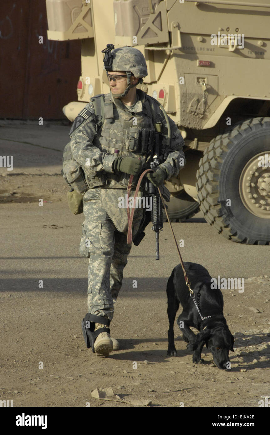 A U.S. Army Soldier and his military working dog conduct a cordon and ...