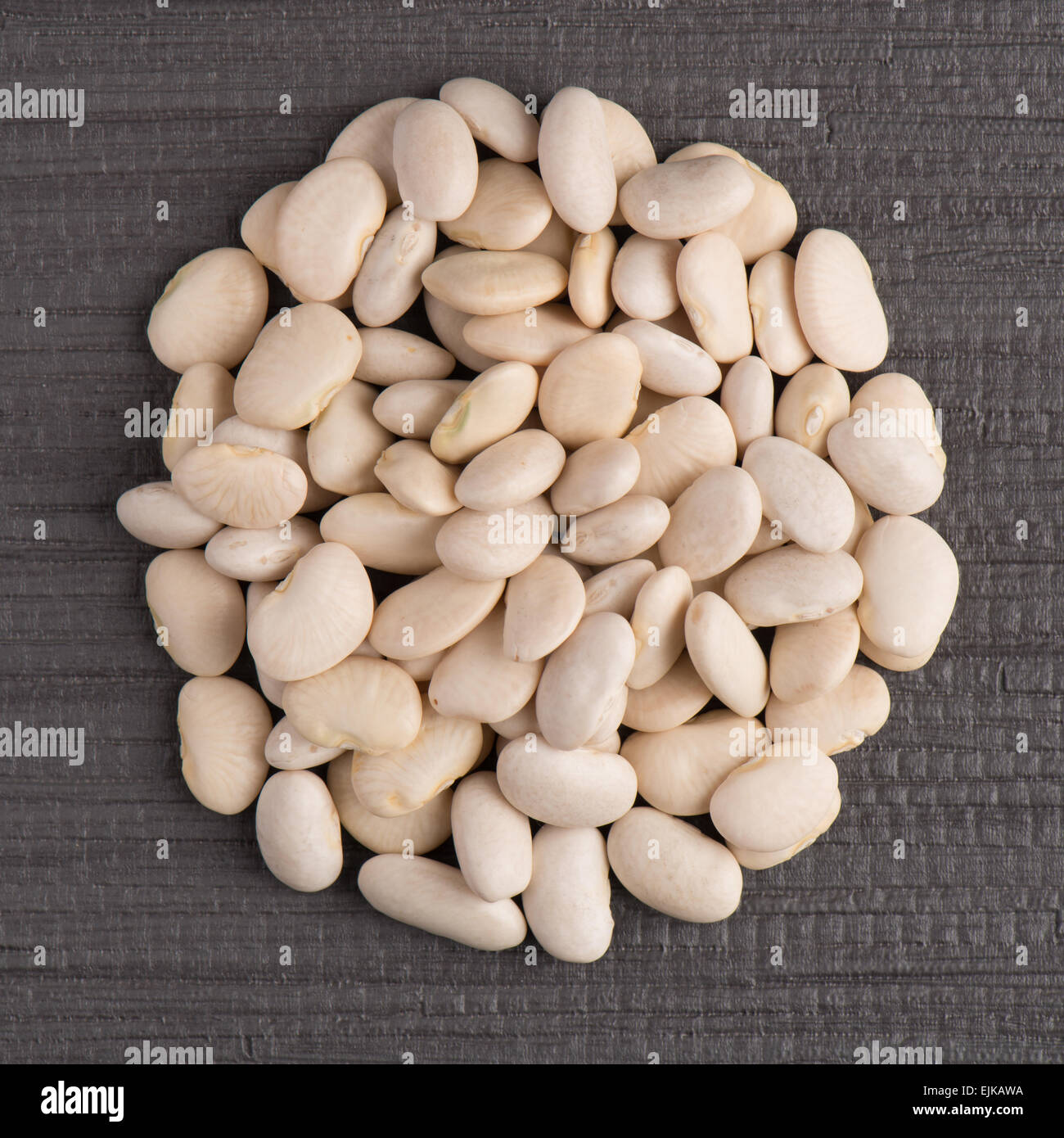 Top view of circle of white beans against grey vinyl background Stock ...