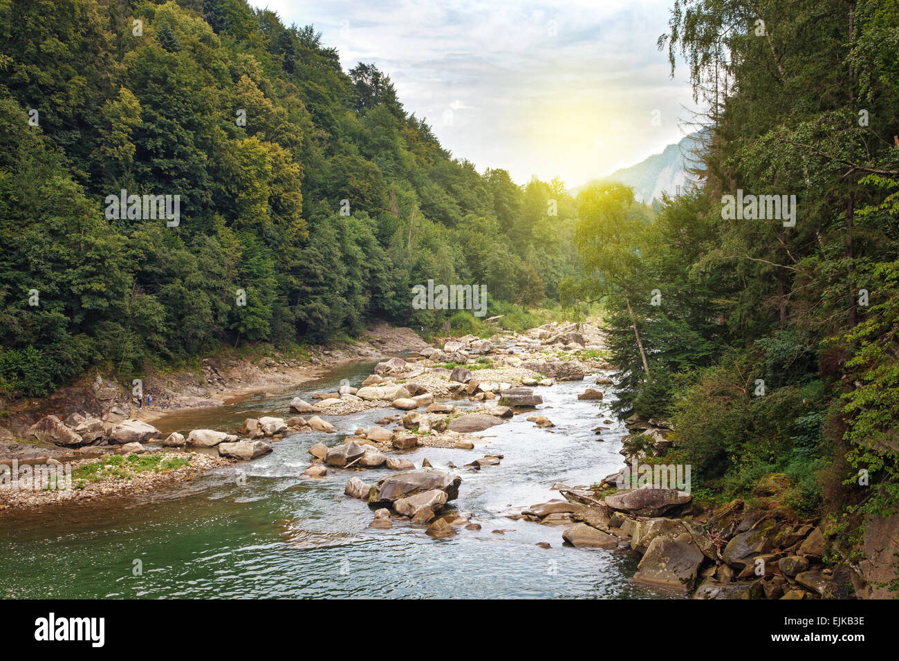 Beautiful clean stream water flowing hi-res stock photography and ...