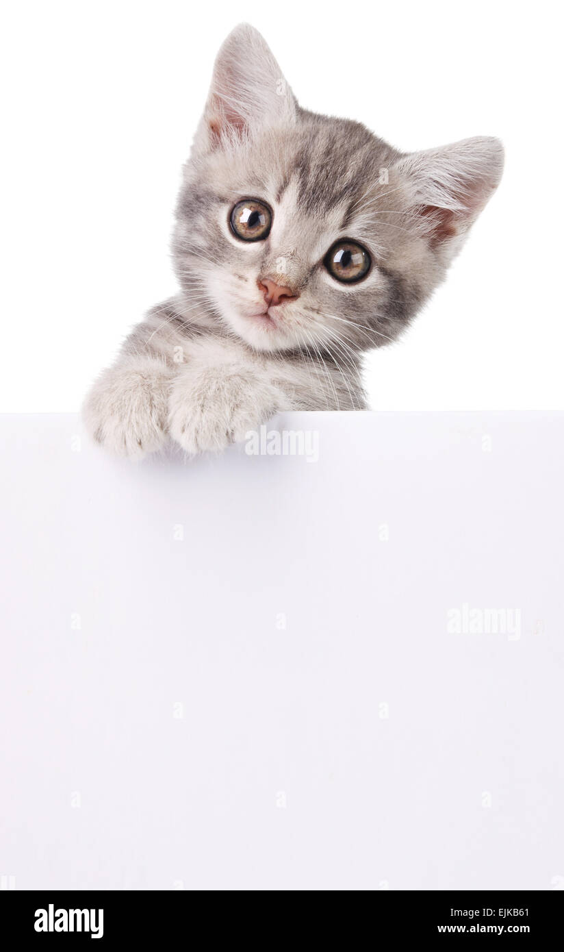 Banner board hi-res stock photography and images - Alamy