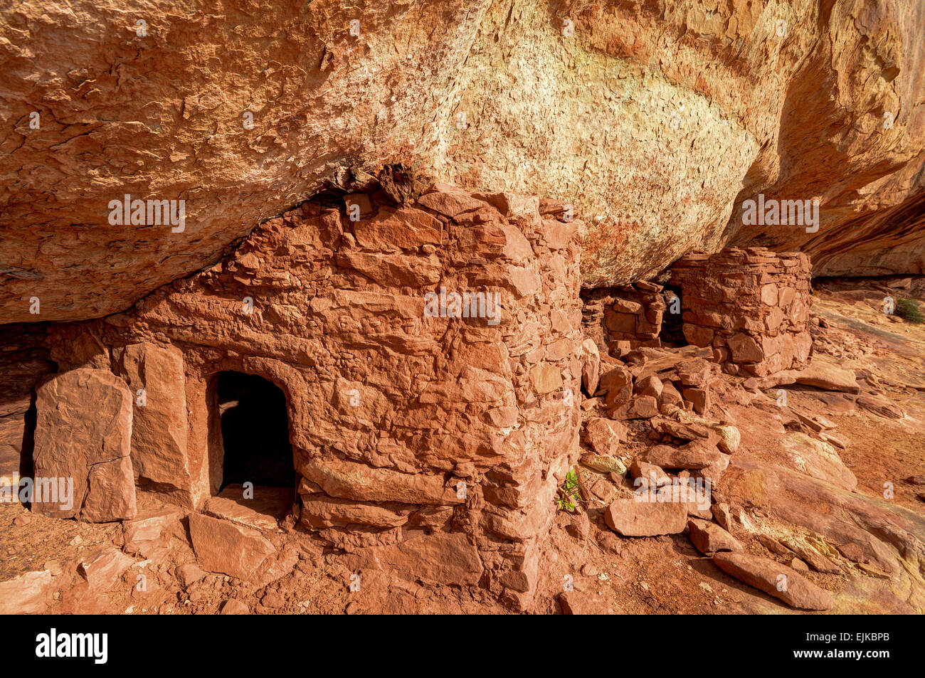 Lewis Lodge Run on Cedar Mesa in Southeastern Utah Stock Photo - Alamy