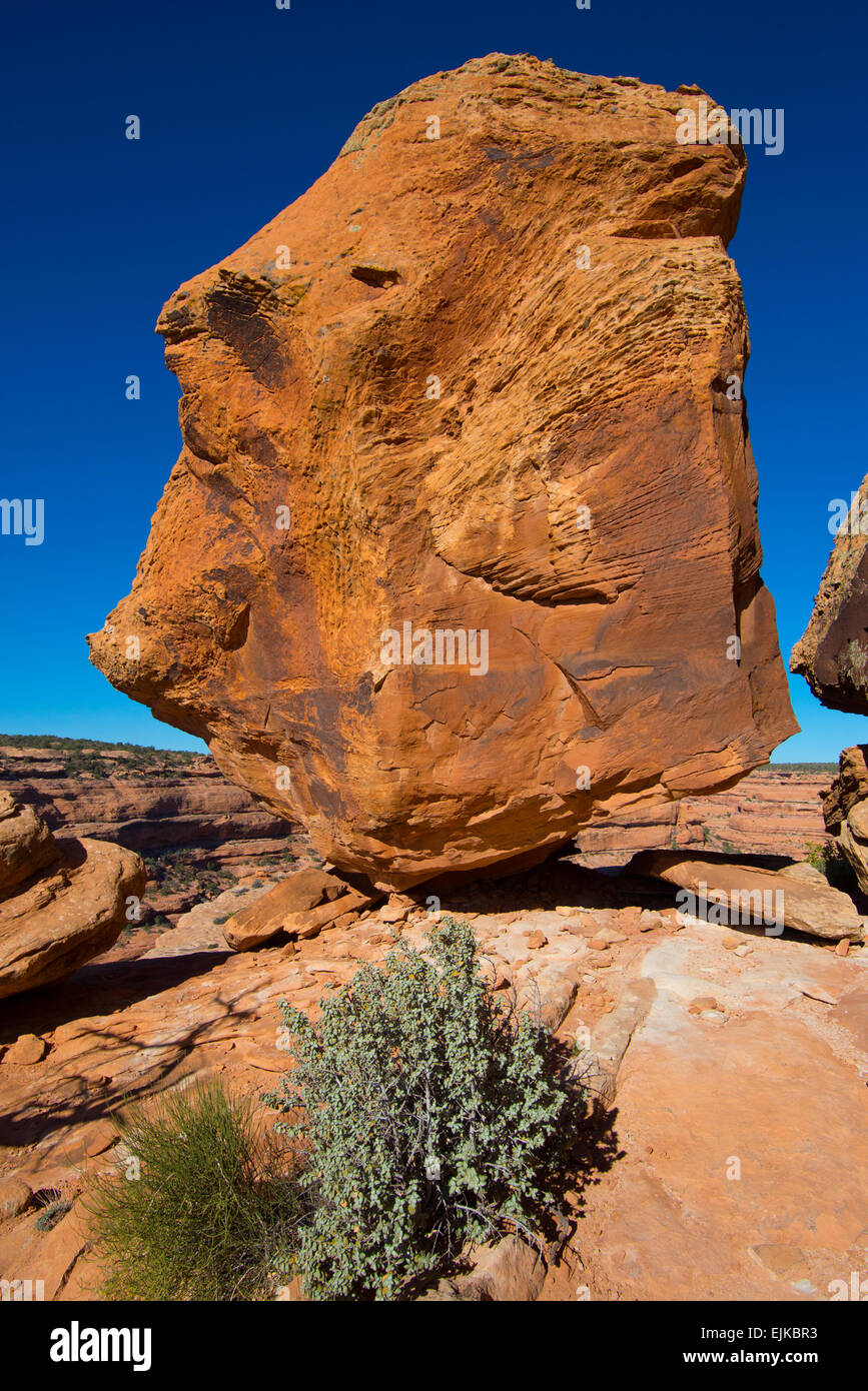 Cedar mesa sandstone hi-res stock photography and images - Alamy