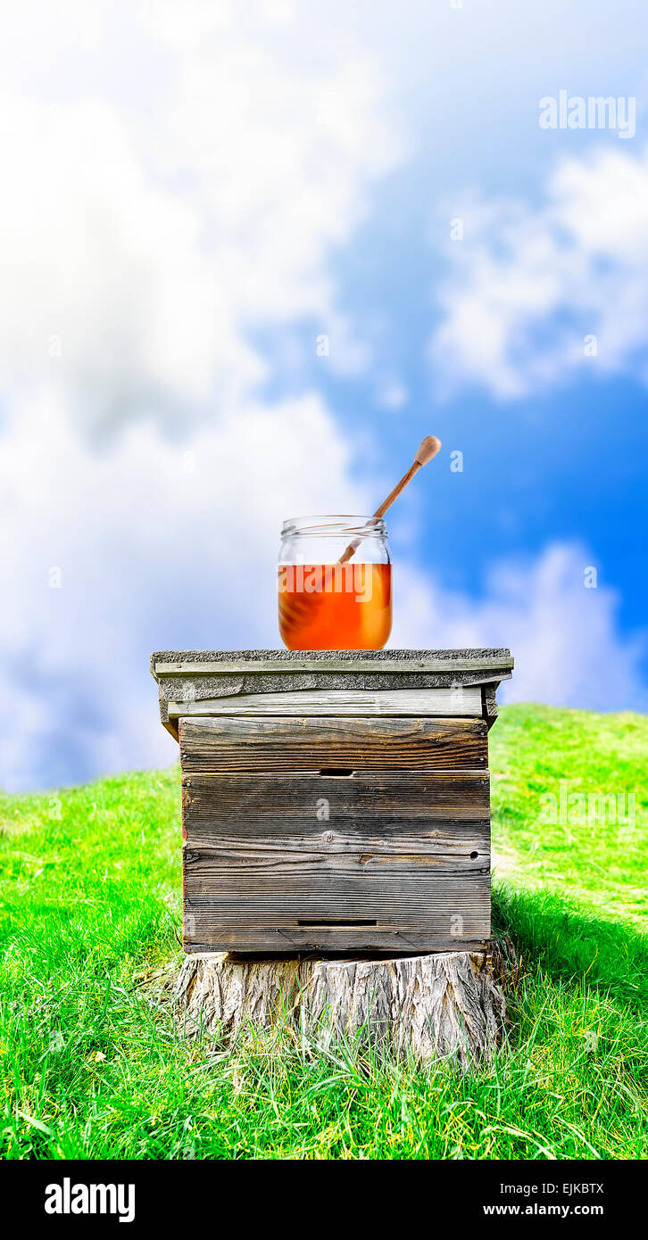 Bee hive area hi-res stock photography and images - Alamy