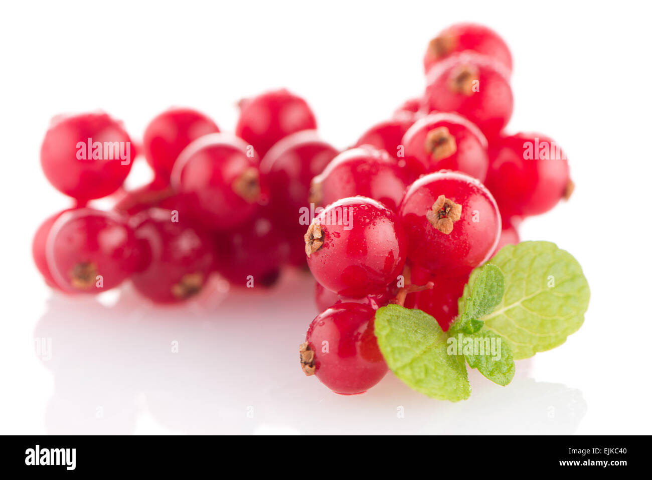 Red Currant close up on white background Stock Photo - Alamy