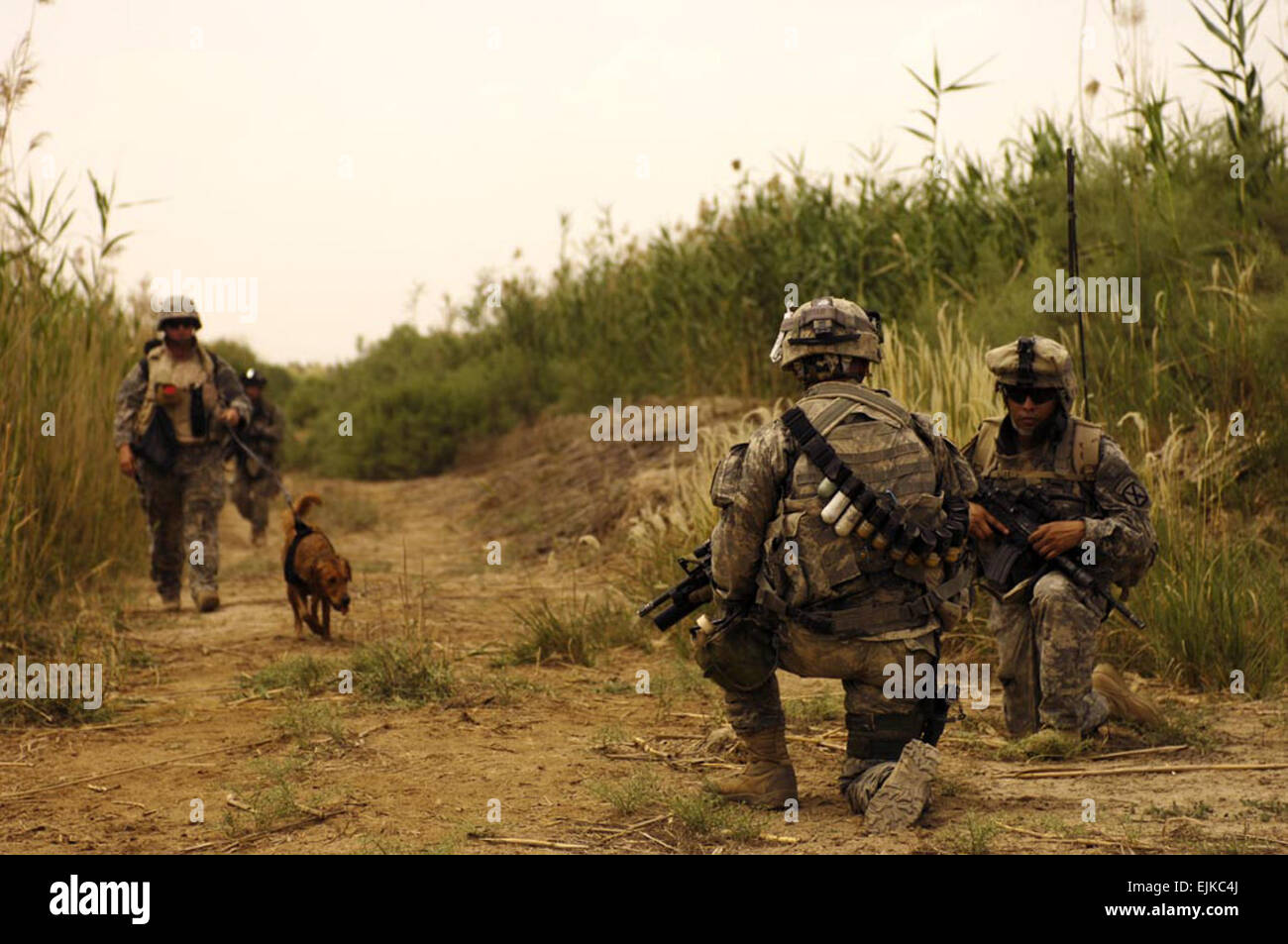 31st infantry hi-res stock photography and images - Alamy