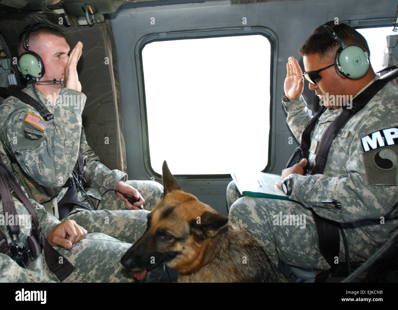 Kosovo military dog hi-res stock photography and images - Alamy