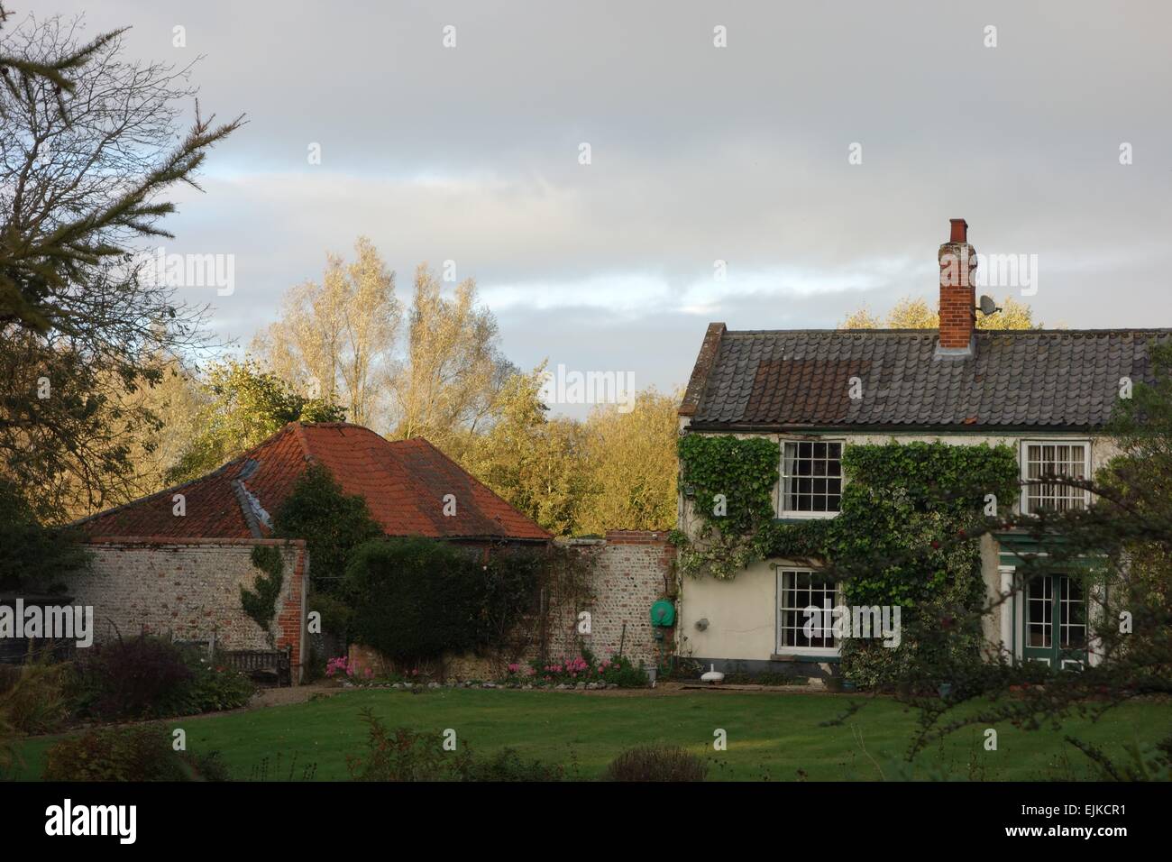 traditional farmhouse with outbuildings and walls, creeper on house ...