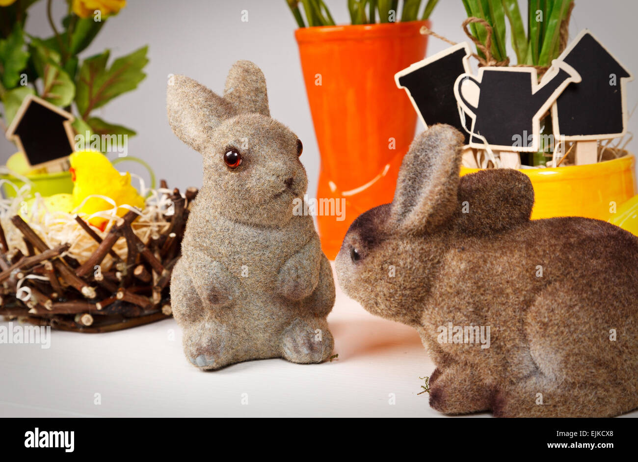 Bunny family hi-res stock photography and images - Alamy