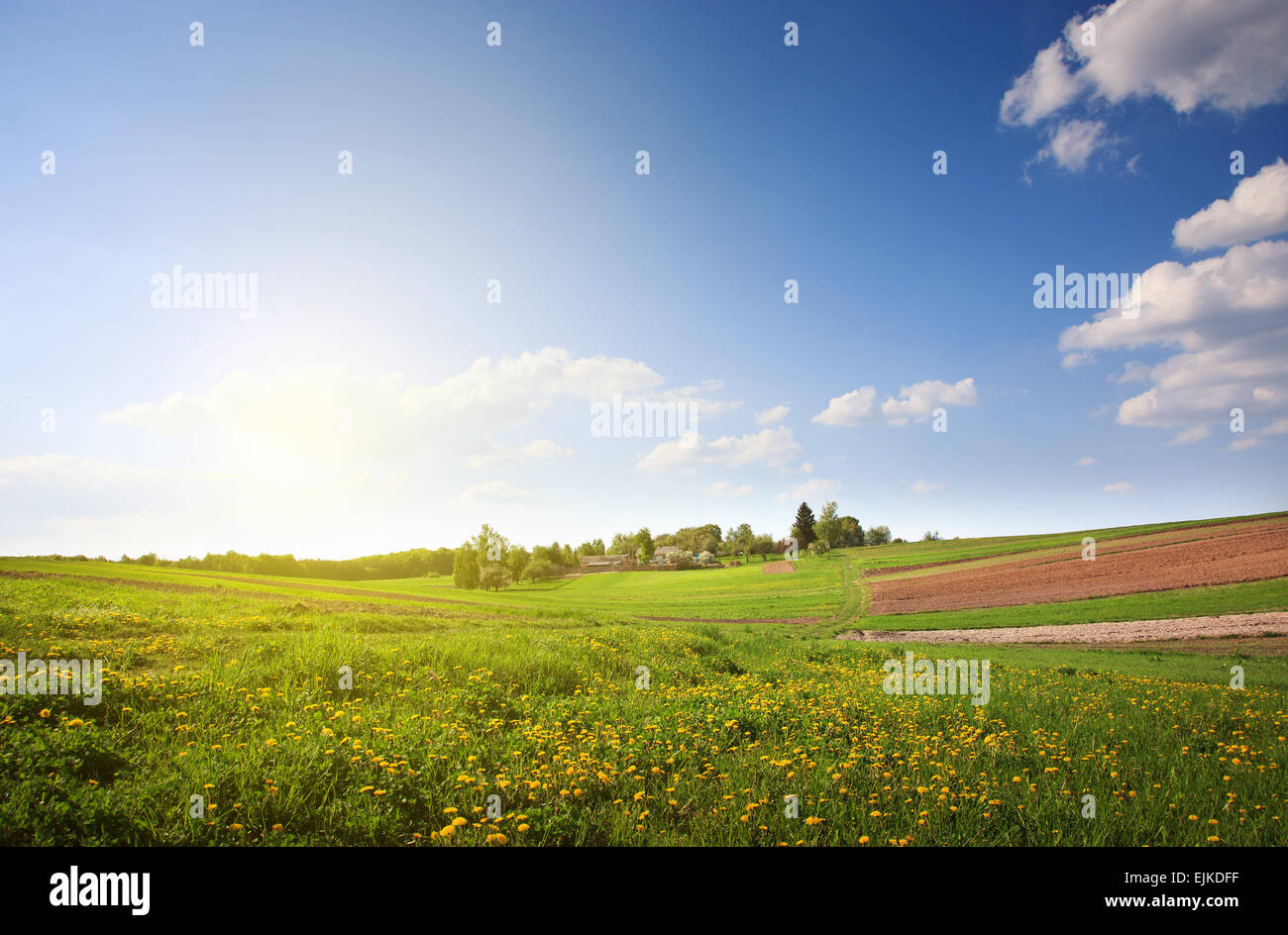 Nature green landscape Stock Photo - Alamy