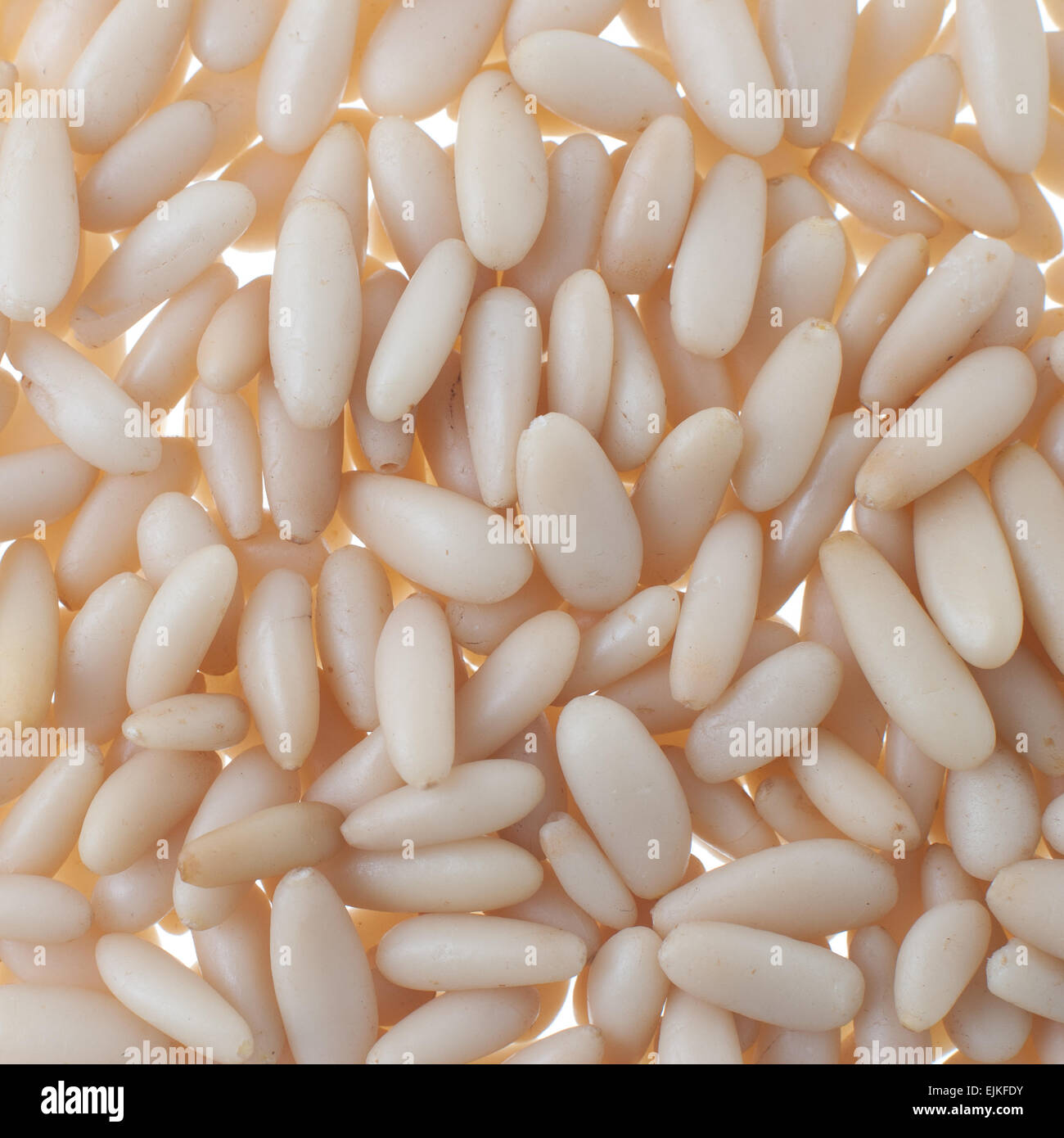 Pine nuts background, food texture Stock Photo - Alamy