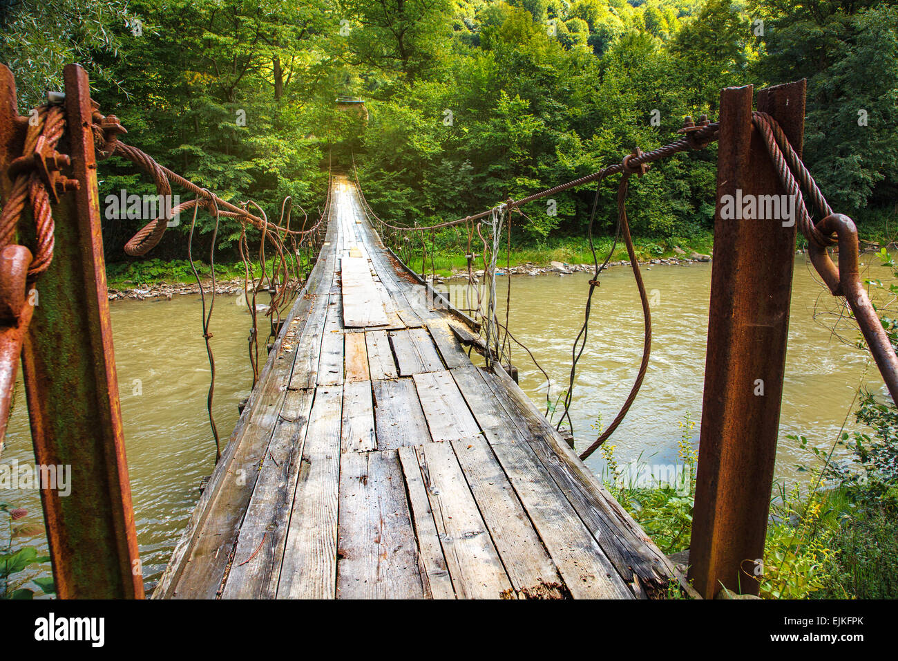 Bridge in the forest Stock Photo - Alamy