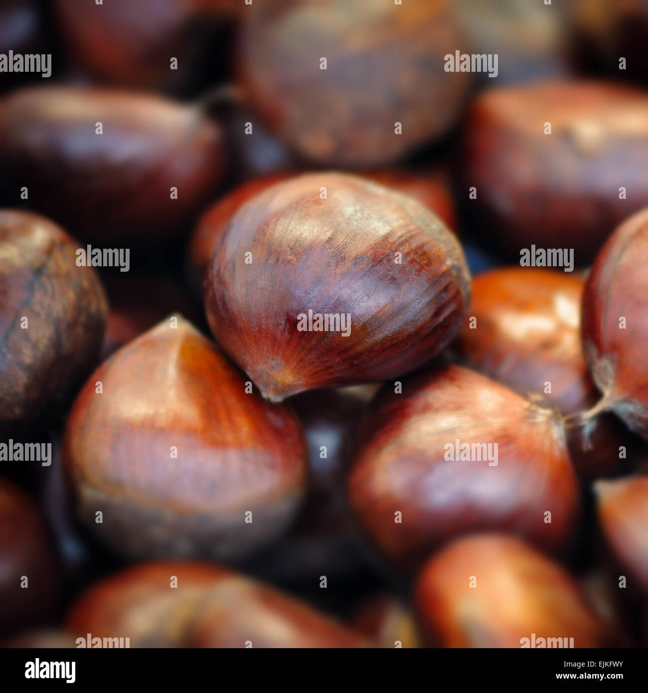 Full chestnuts hi-res stock photography and images - Alamy