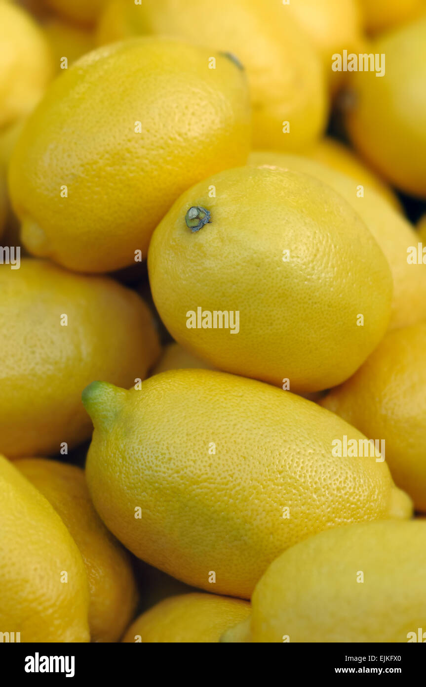 Full raw and ripe lemons on display close up Stock Photo - Alamy