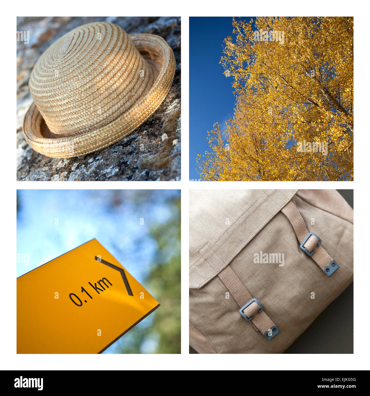 Walking and nature Cut Out Stock Images & Pictures - Alamy