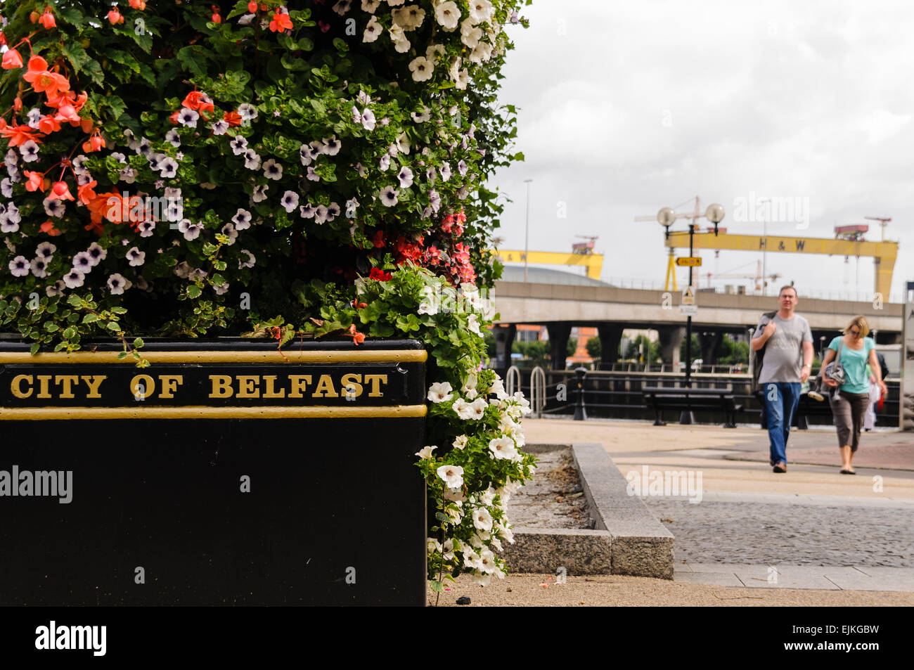 Belfast famous yellow cranes hi-res stock photography and images - Alamy
