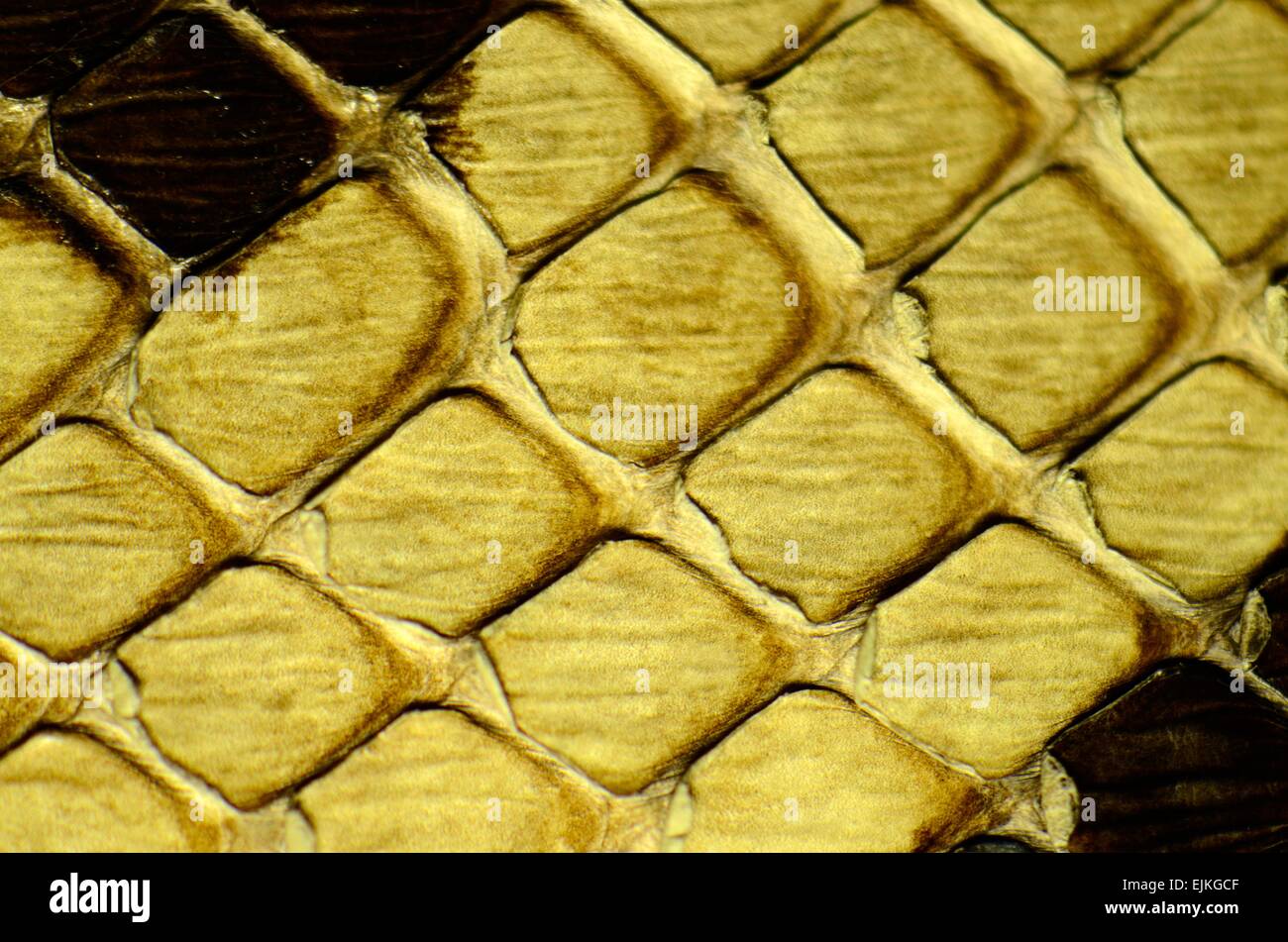 Lozenge patterns hi-res stock photography and images - Alamy