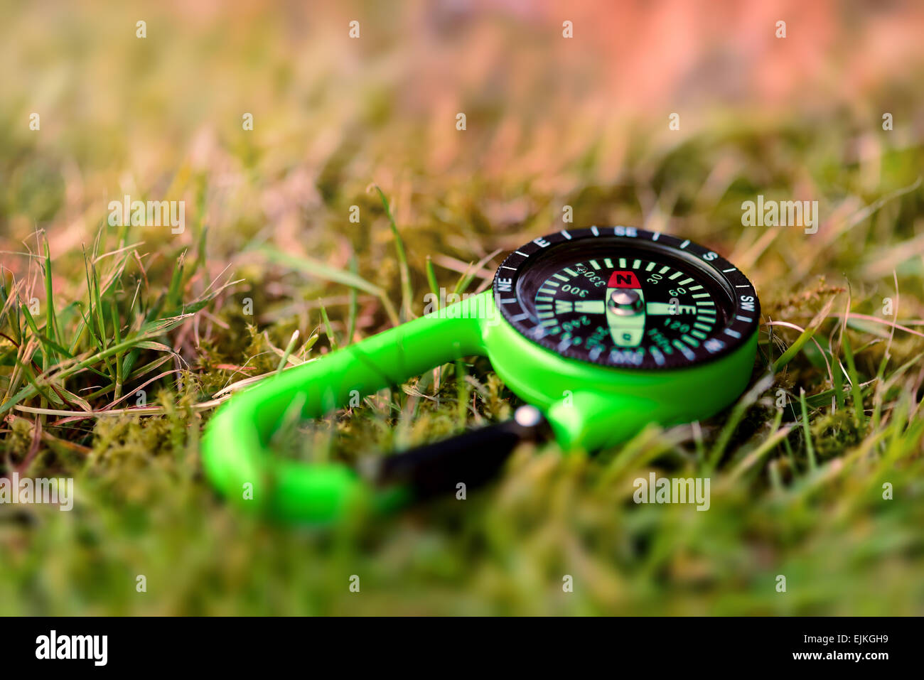 Compass on the grass close up outdoors concept Stock Photo - Alamy